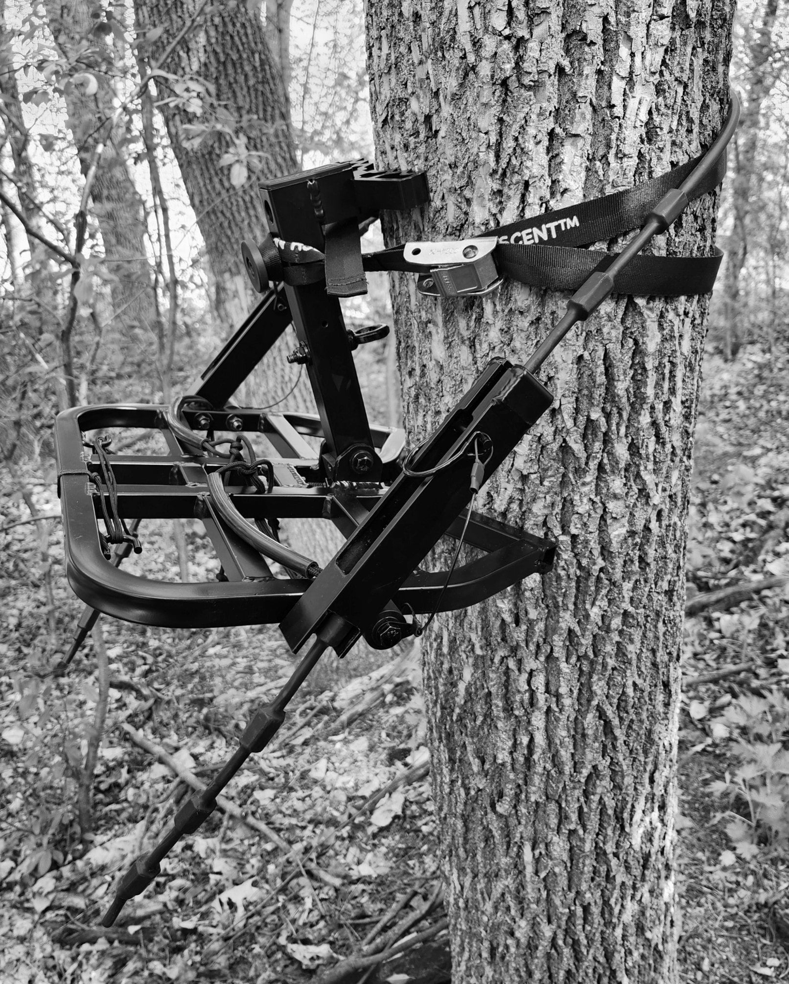 Lean Ascent Alpha Climbing Platform for Saddle Hunting | OSPREY OUTDOORS