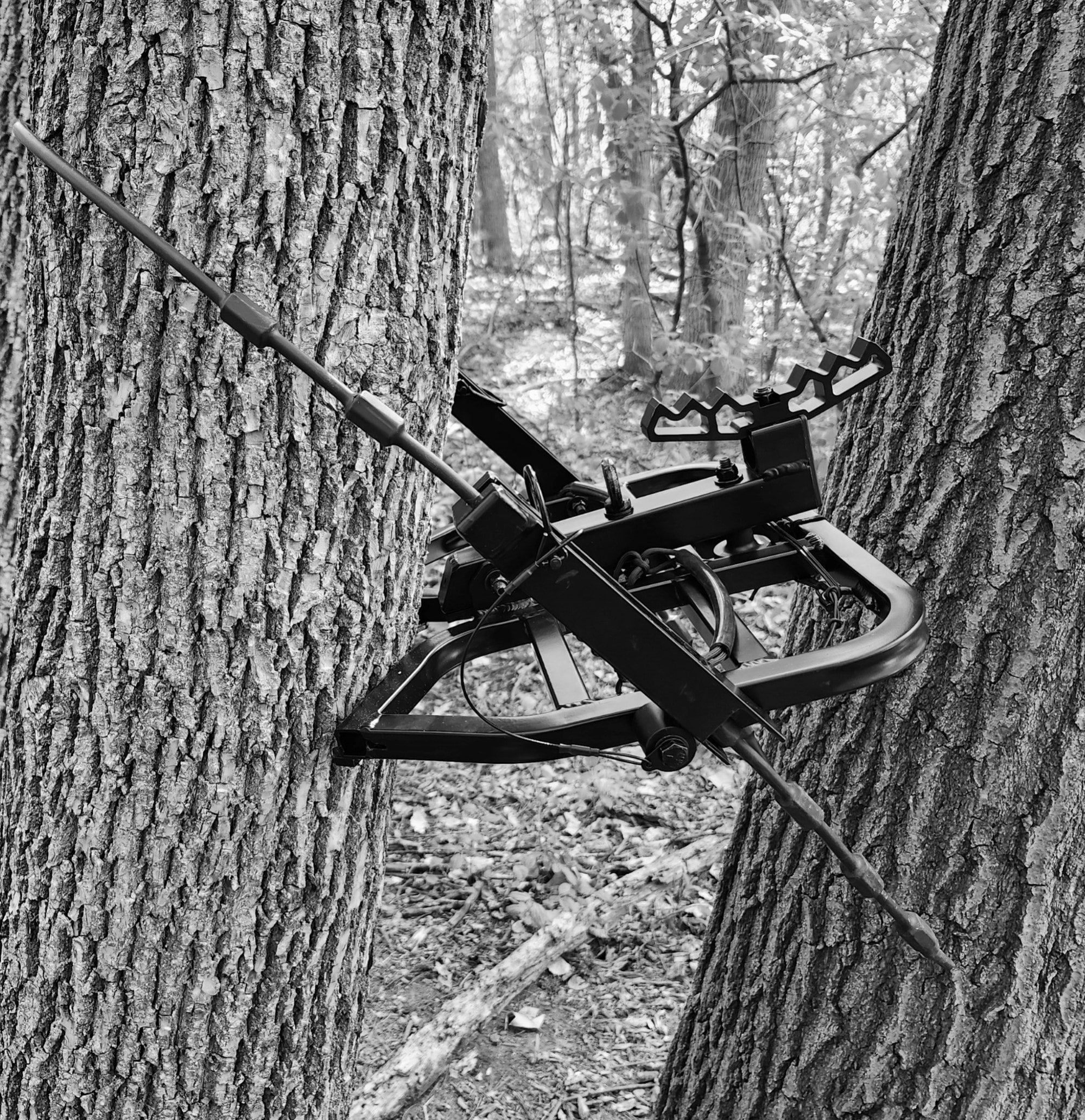 Lean Ascent Alpha Climbing Platform for Saddle Hunting | OSPREY OUTDOORS