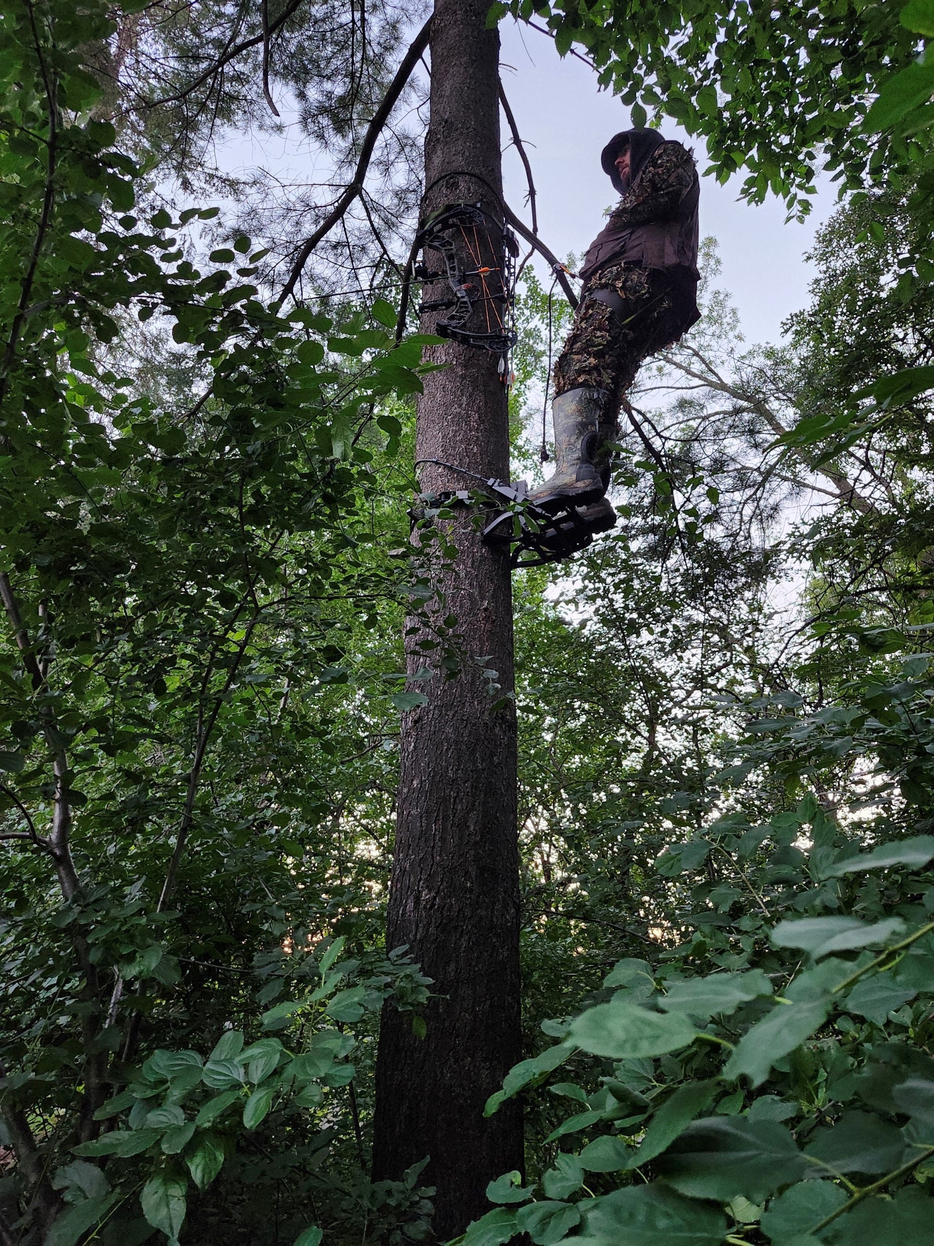 Lean Ascent Alpha Climbing Platform for Saddle Hunting | OSPREY OUTDOORS